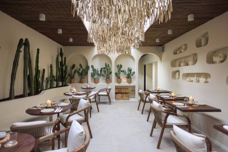 Quila: de hartverwarmende keuken van Latijns-Amerika - De Buik van Den Haag