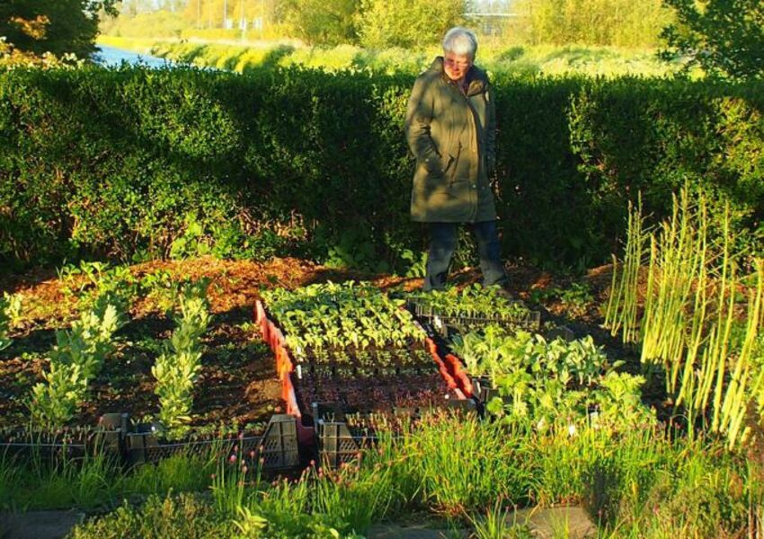 Rotterdamse Oogstmarkt - De Buik van Rotterdam