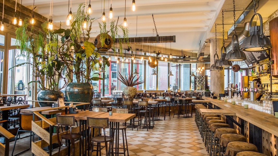 Milú - De Buik van Den Haag