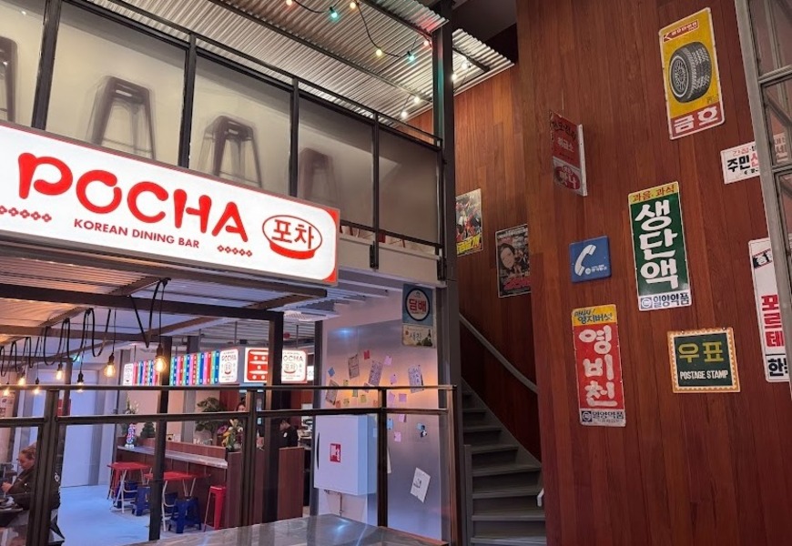 Pocha - De Buik van Rotterdam