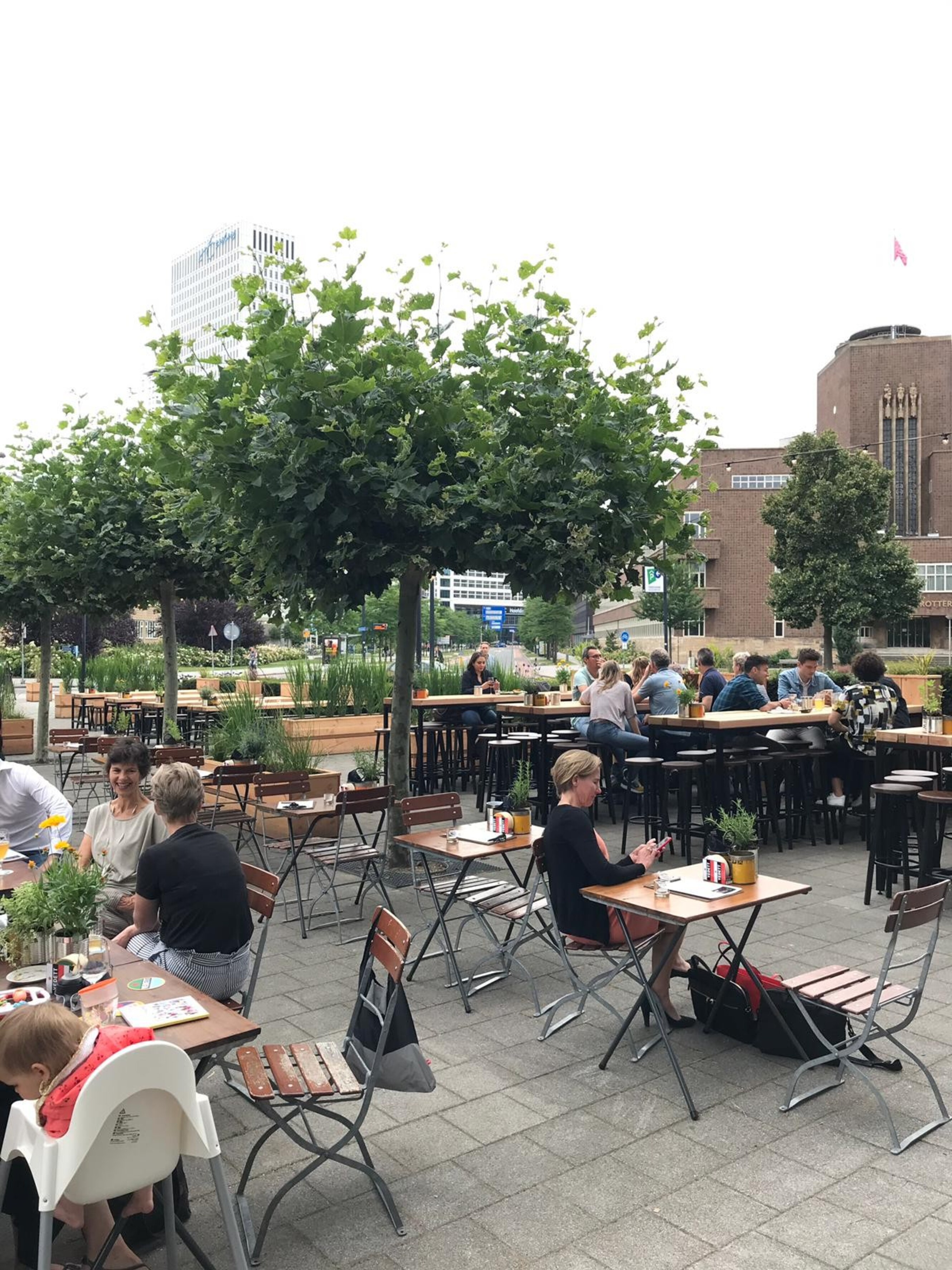 Westkop Rotterdam - De Buik van Rotterdam