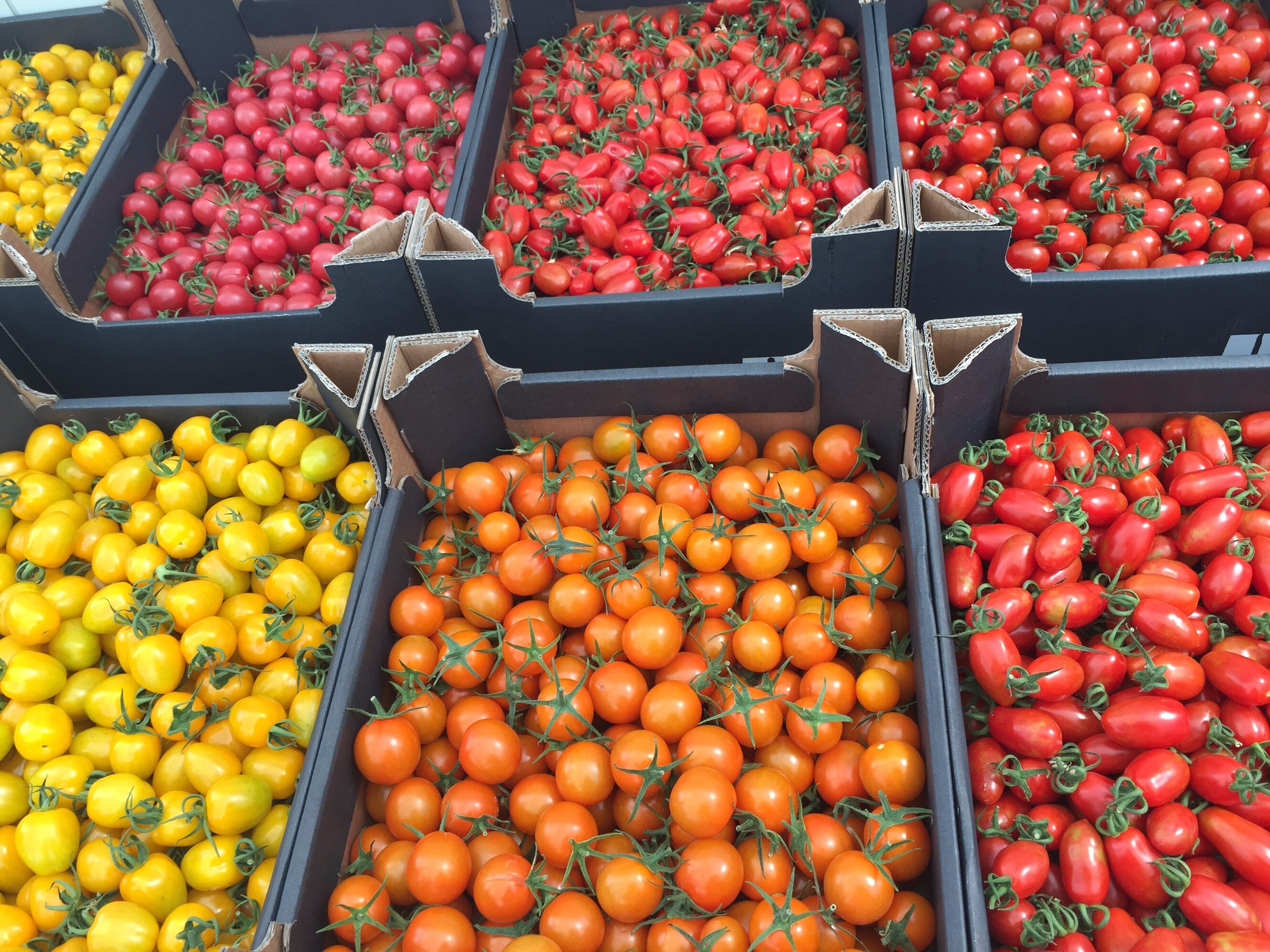 Westlandse cherrytomaten als bloemenvaas - De Buik van Rotterdam