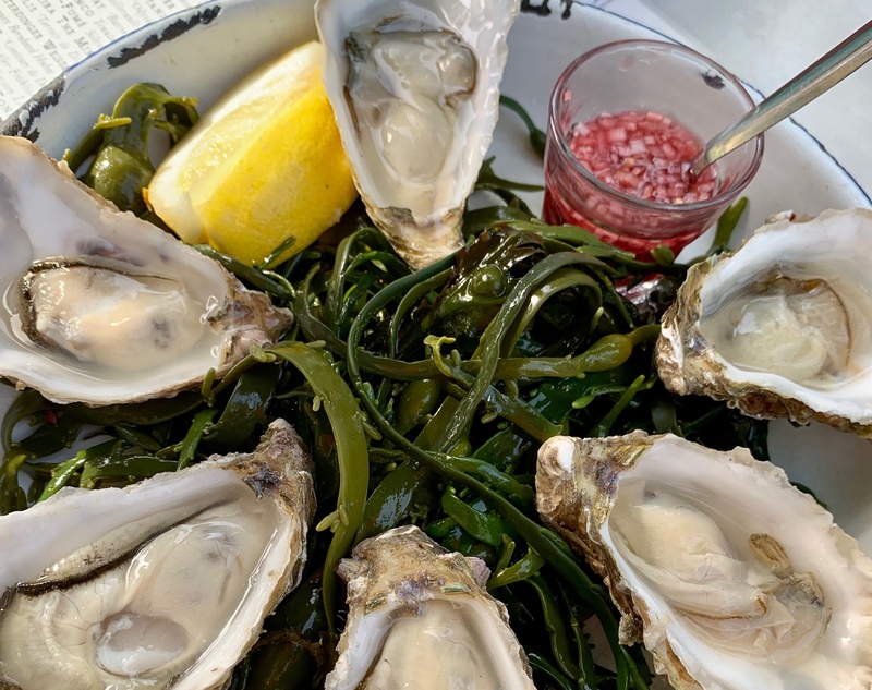 Brut de Mer - De Buik van Amsterdam