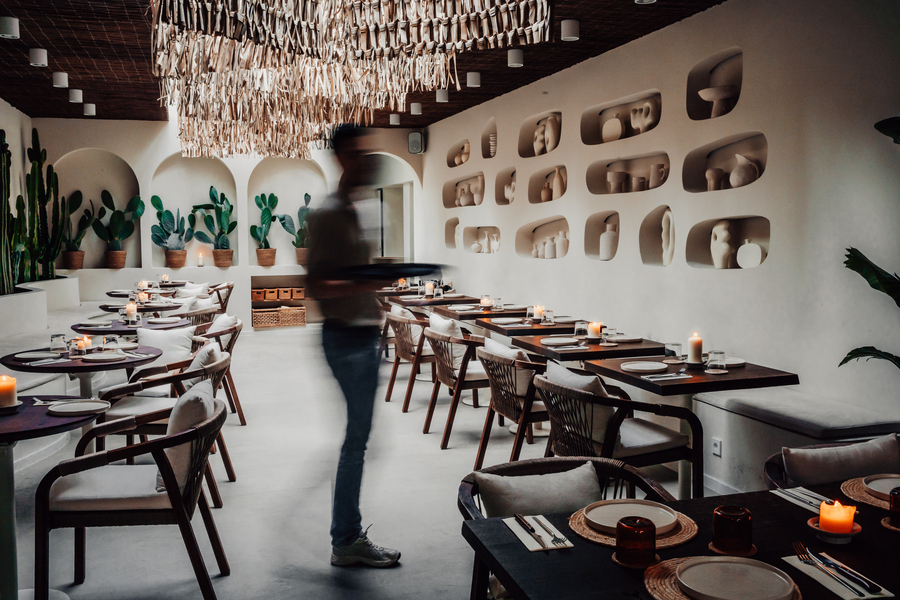 Quila - De Buik van Den Haag